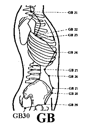 GB21 Onthe top of the shoulder, one to two inches from the side of