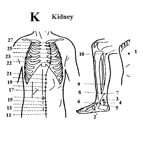 K1 On thebottom of the foot, in the middle, just behind the ball (the