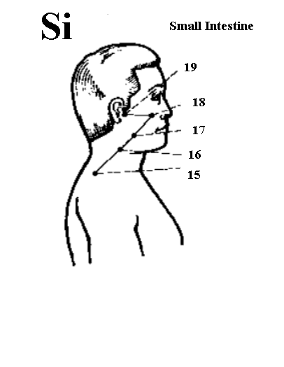 Si15 Inthe depression of the seventh cervical vertebra and 2 Cun