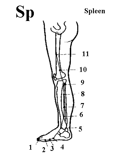 SP1 At thecorner at the root of the nail in the large toe. Inside of the